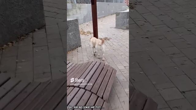 Да, зима уже не та....mp4