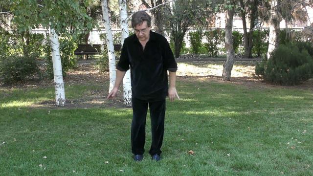 09 Таолу стиля Орлан и барс удары ногами средней дистанции