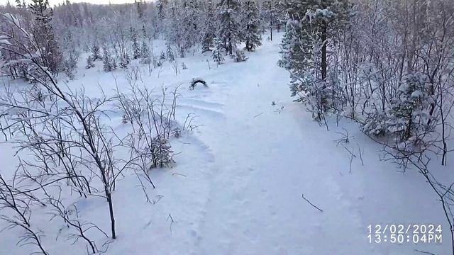 Заезд на велотрассу "Лапландия" в Мончегорске