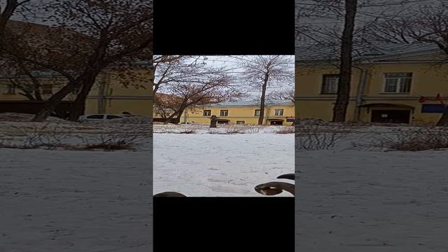 Типичный Питер , метро Звенигородская