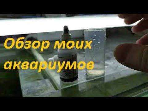 Мое аквариумное хозяйство. Точки над "Ё". (Архив от 1.01.2022)