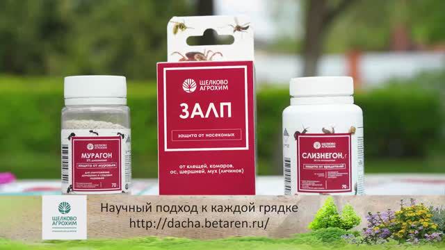 Полное уничтожение ползающих вредителей