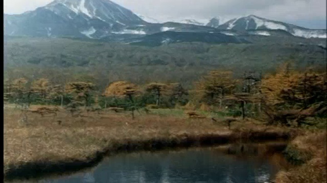 остров Итуруп-1