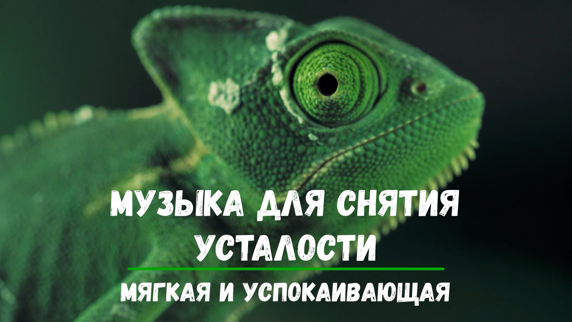 Музыка для снятия Усталости. Мягкая и Успокаивающая.