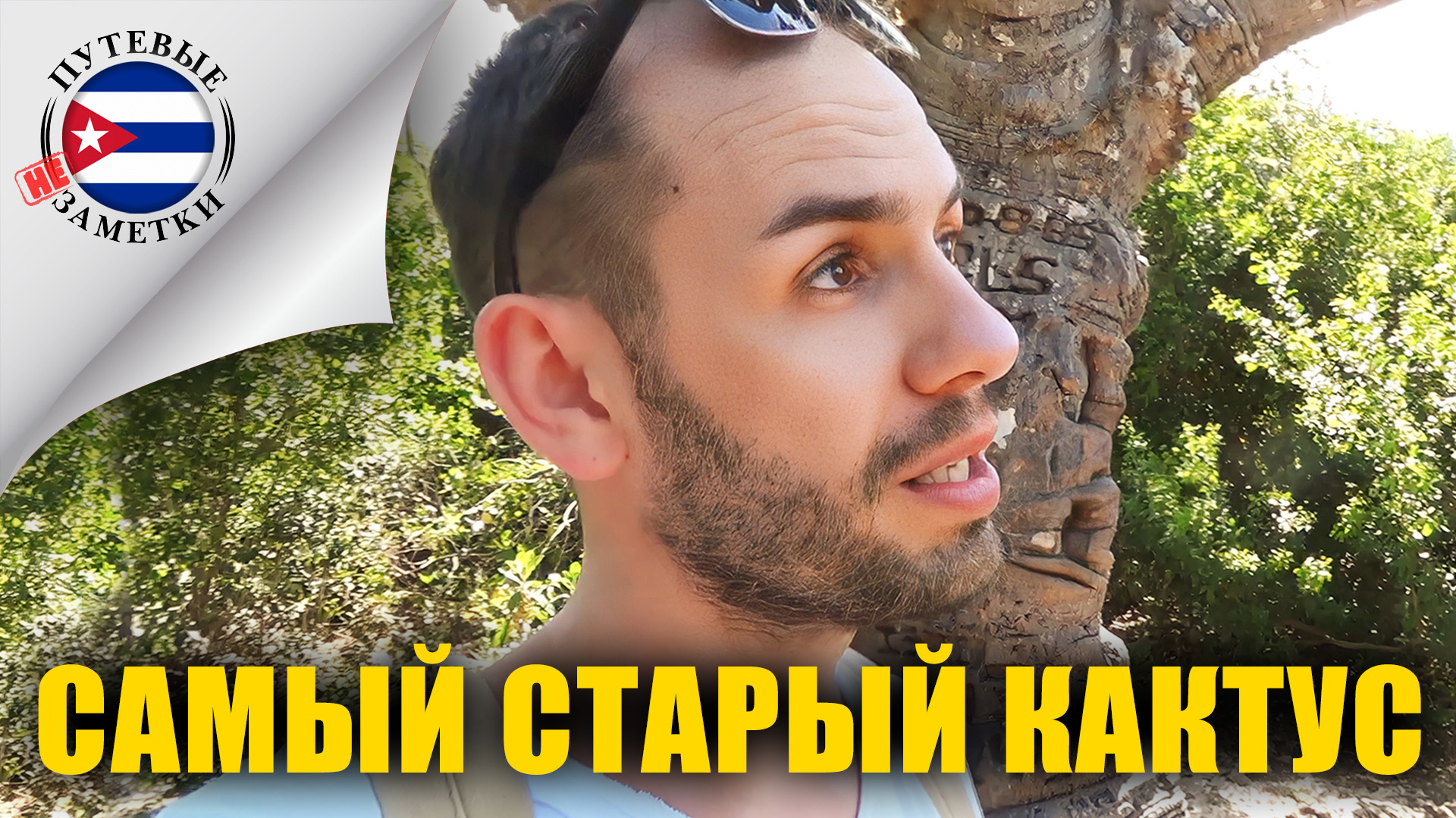 путевые НЕ заметки | Куба: Самый старый кактус
