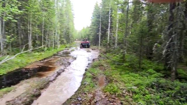 каракат преододевает (1).mp4