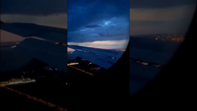 Вид с птичьего полета. Александра Миркушова