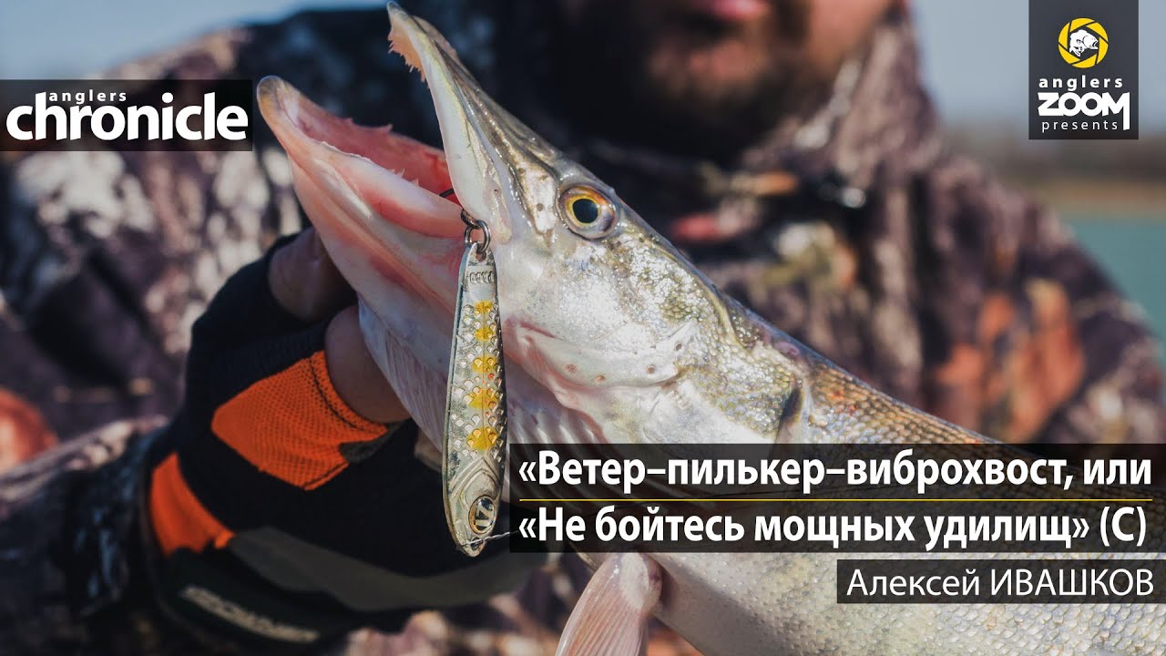 «Ветер – пилькер – виброхвост, или «Не бойтесь мощных удилищ» (С)  Алексей Ивашков