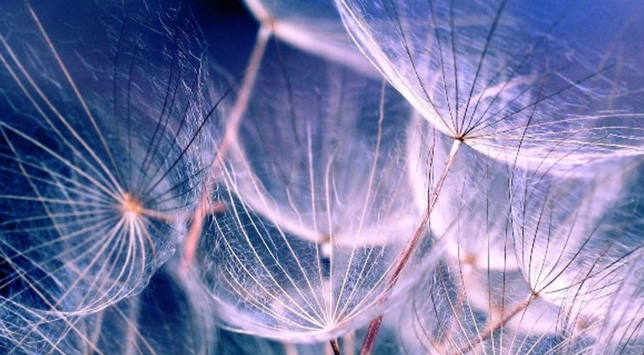 Владимир Набоков:"ДВИЖЕНИЯ ДУШИ" под музыку Ли Рума.Читает — Елена Артёменко.Запись— ноябрь 2018 год