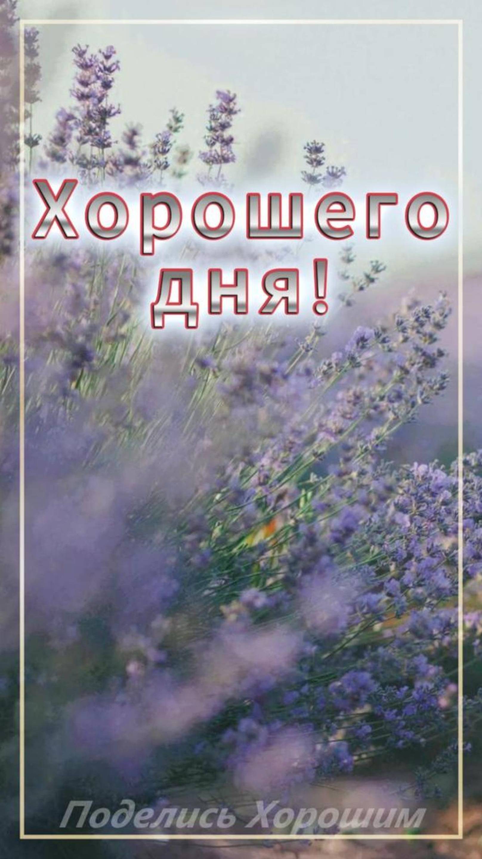 Хорошего Дня!