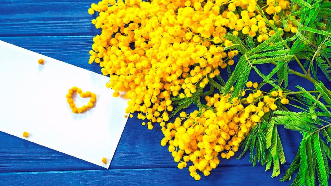 Поздравляю с 8 марта!