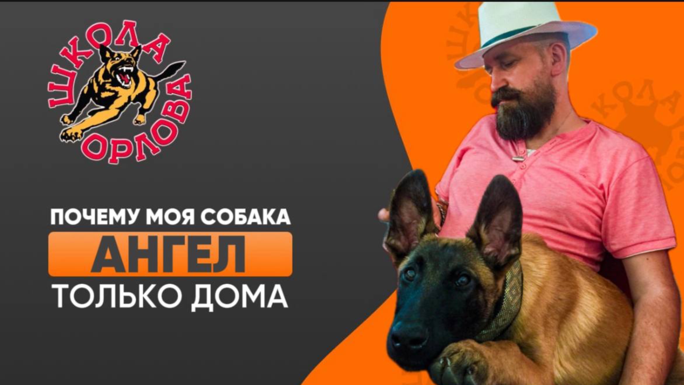 Метис из приюта дома ведет себя идеально, но хулиганит на улице