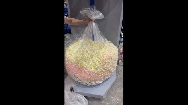 Вакууматор промышленный с системой расстаривания, для мягких набивочных материалов и изделий.