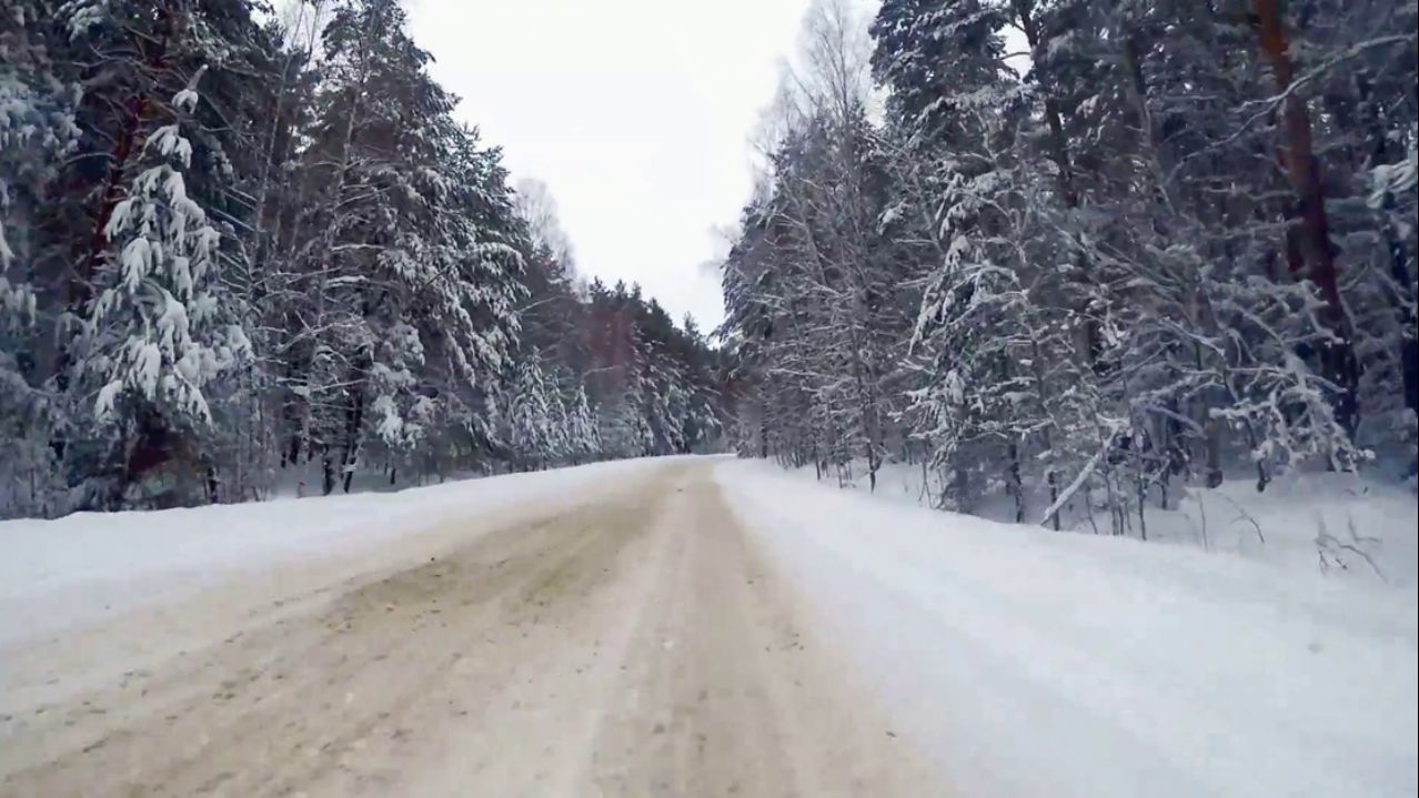 ЗАСНЕЖЕННЫЙ ЛЕС 2022.12.17