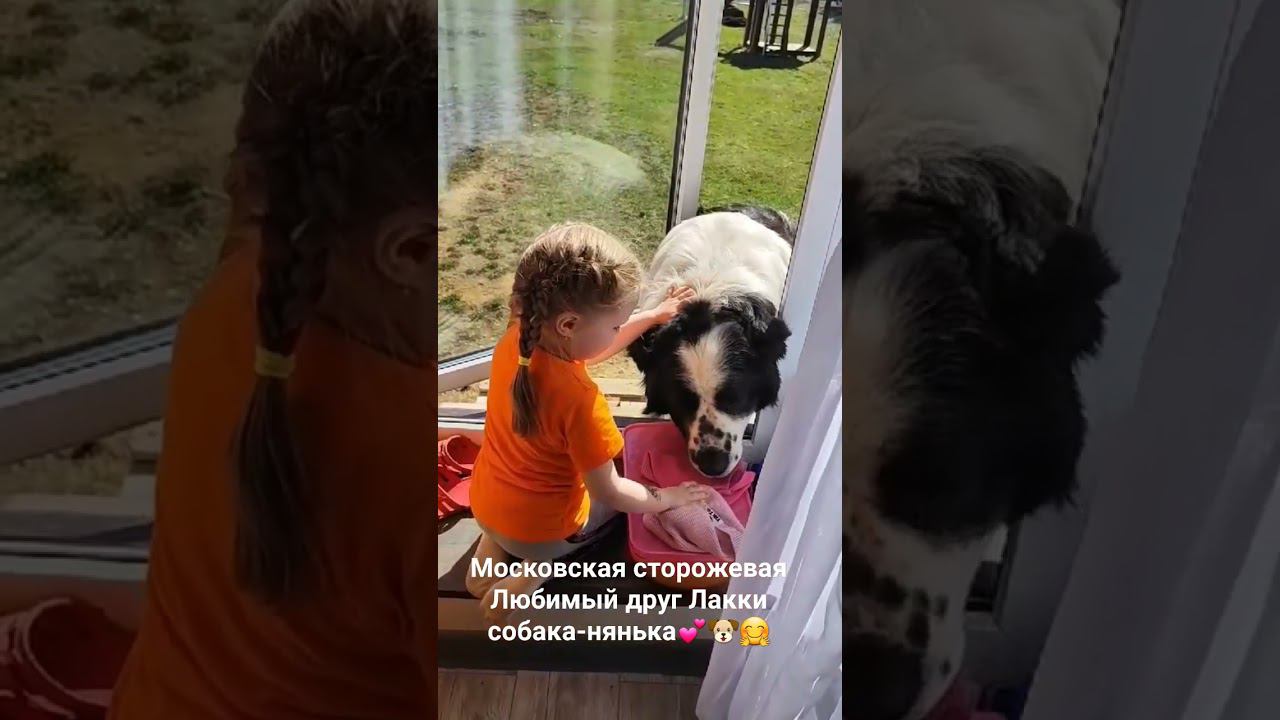 Московская сторожевая и дети