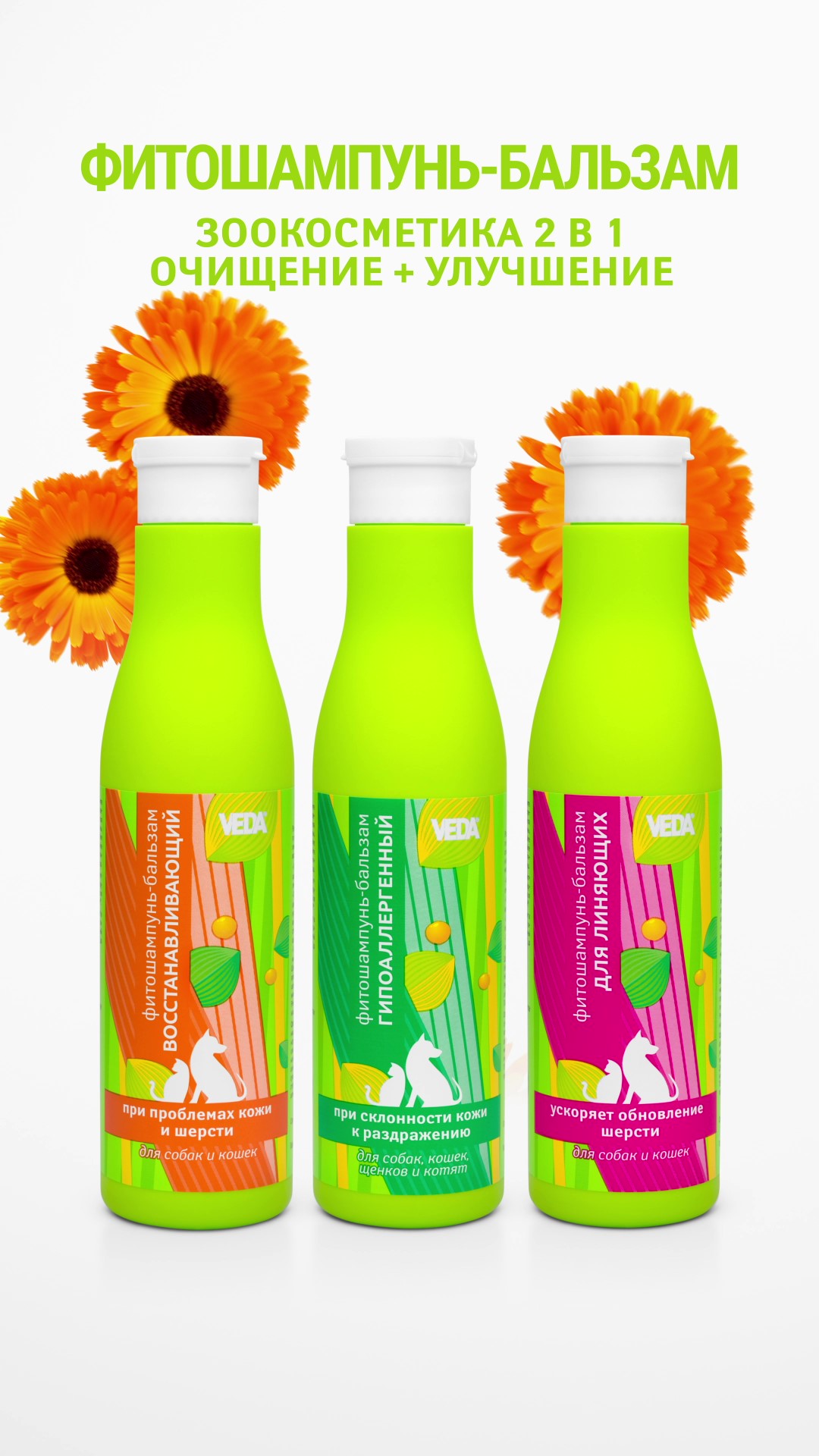 Фитошампуни-бальзамы - назначение, применение, эффективность