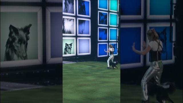 This dancing dog is adorable 🥺