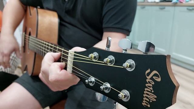 2023.01.06 Гитара