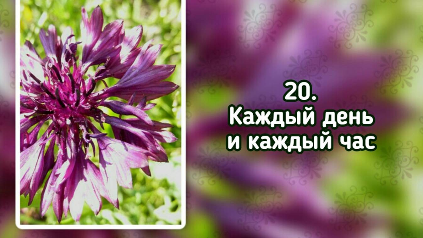 Гимны надежды 20 Каждый день и каждый час (-)