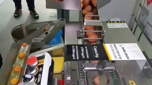 Машина для разбивания яиц RZ-1 и вакуумный перекладчик яиц VEL-30 Ovo Tech