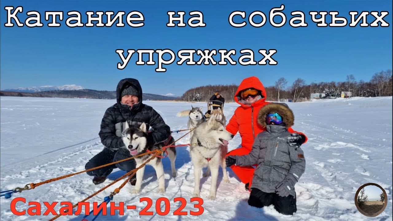 День-4. Катание на собачьих упряжках.Аренда авто на Сахалине.