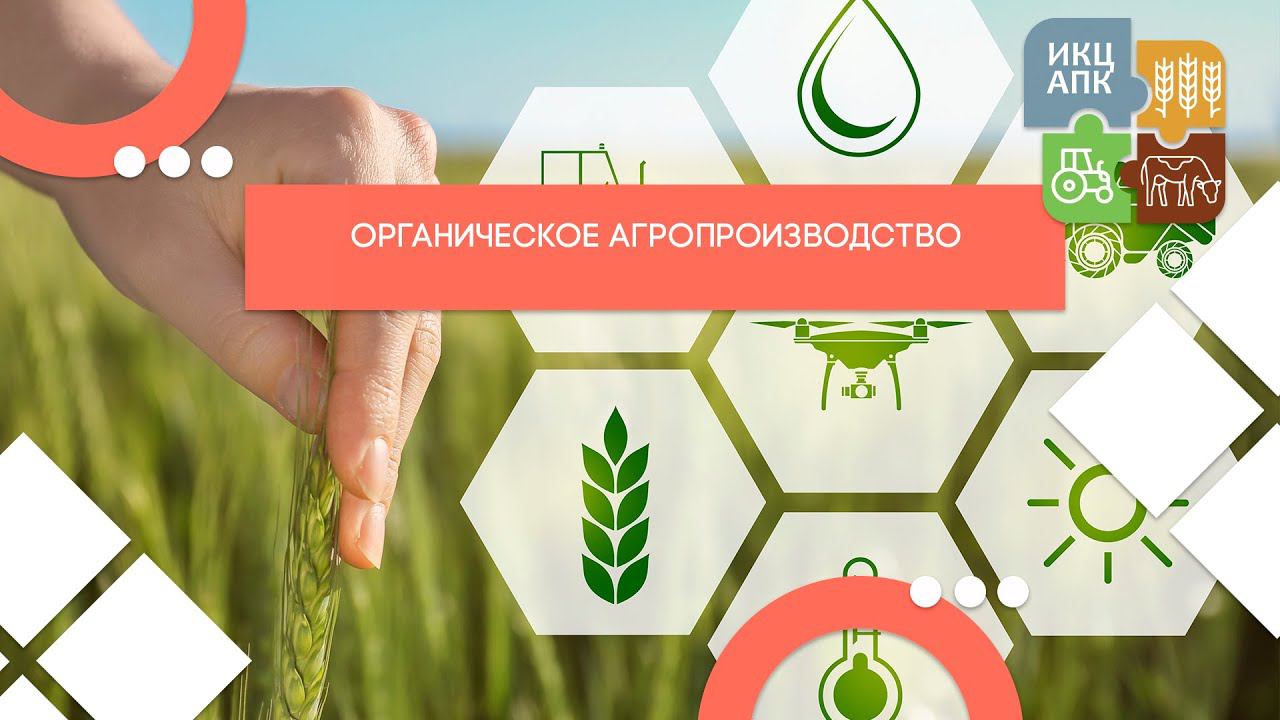 Запись семинара от 21 сентября 2022 года 2 часть