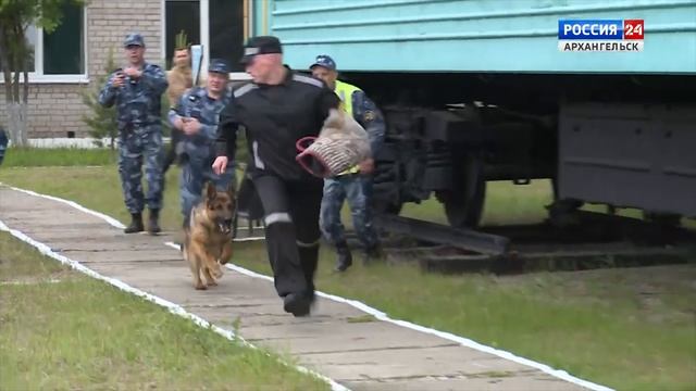 Поморье_Доброе утро, Поморье!_Кинологи