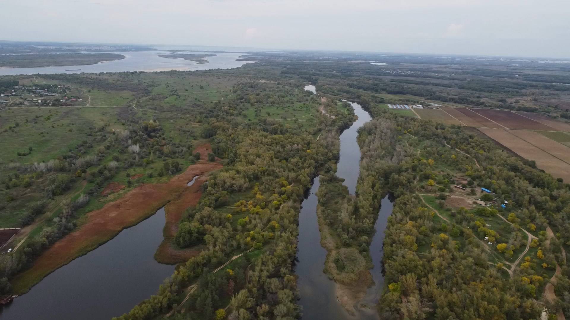Ерик Верблюд. Волгоград. Октябрь 2022