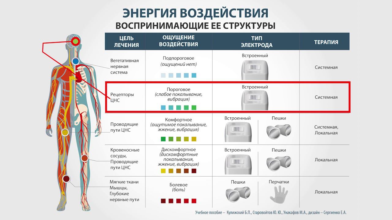 5# Энергия воздействия и воспринимающие её структуры. ЧЭНС-«Скэнар».