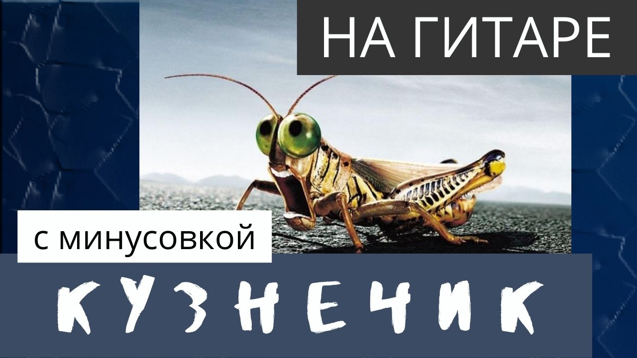 " Кузнечик " на гитаре, с минусовкой