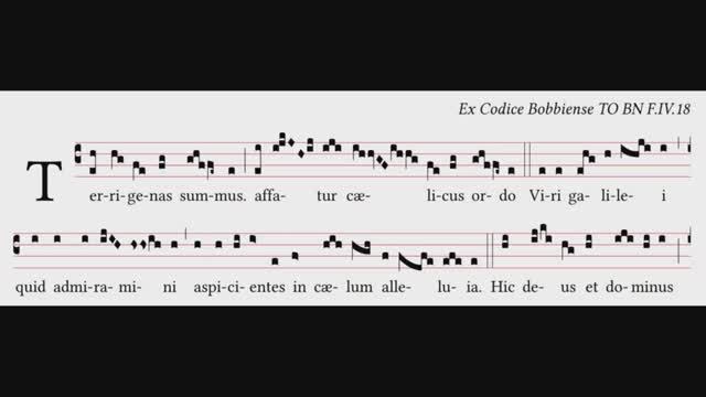 Terrigenas summus affatur ─ Viri Galilei