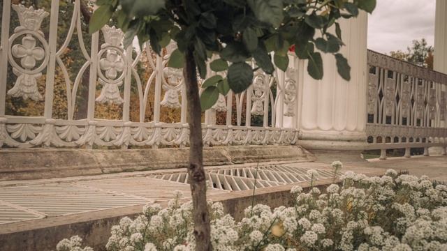 Пушкин сентябрь 2022. Фотограф - Астахова Мария