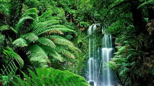 Освобождение Души от чужеродных вторжений. Практики.