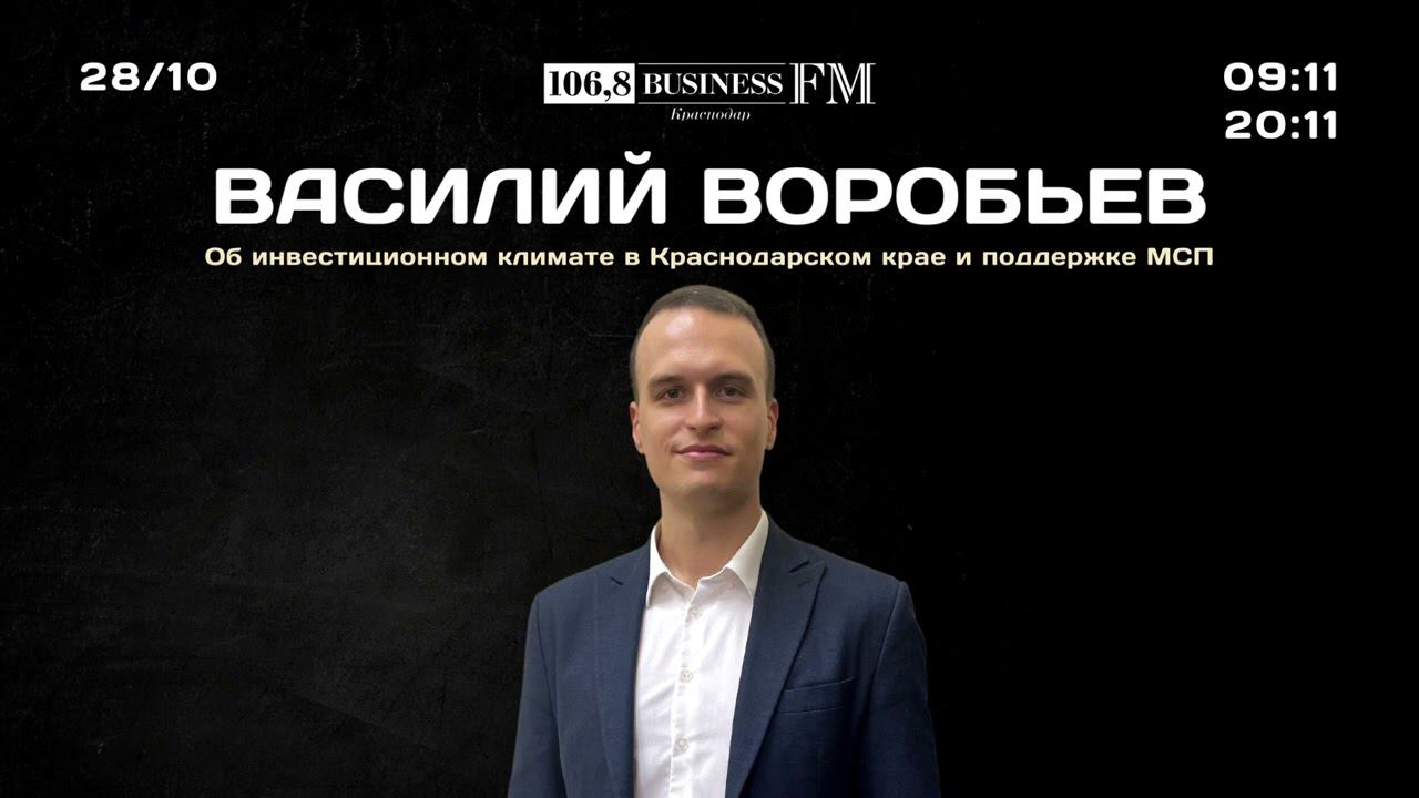 Василий Воробьев. Об инвестиционном климате в Краснодарском крае и поддержке МСП