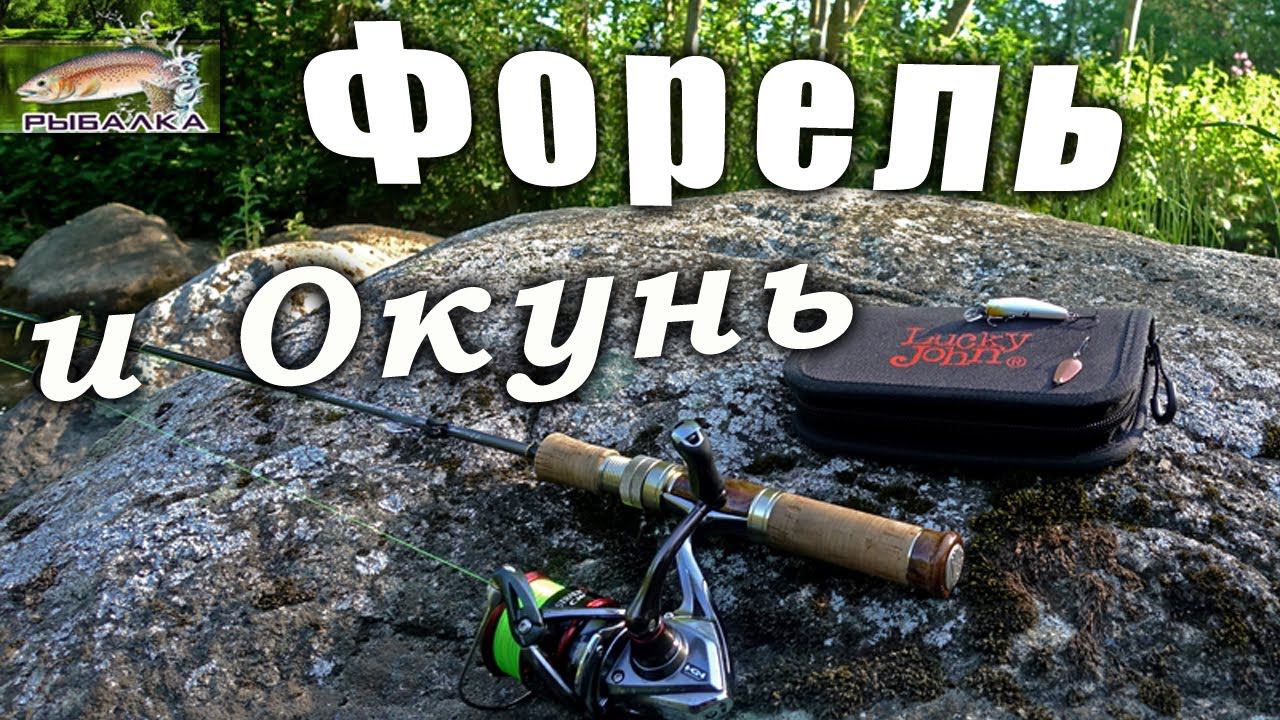 Дикая форель. Окунь. Рыбалка в Ленинградской области. Июнь 2020.