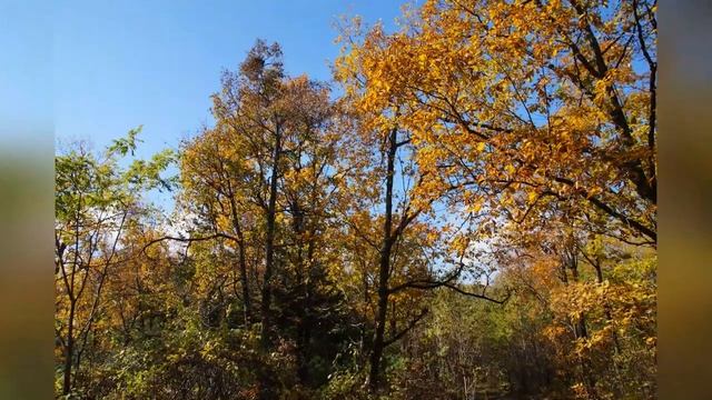 Хехцир. Сопка Змеиная