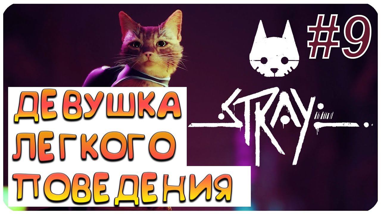 Stray ▶ КЛЕМЕНТИНА ТУСОВЩИЦА? #9