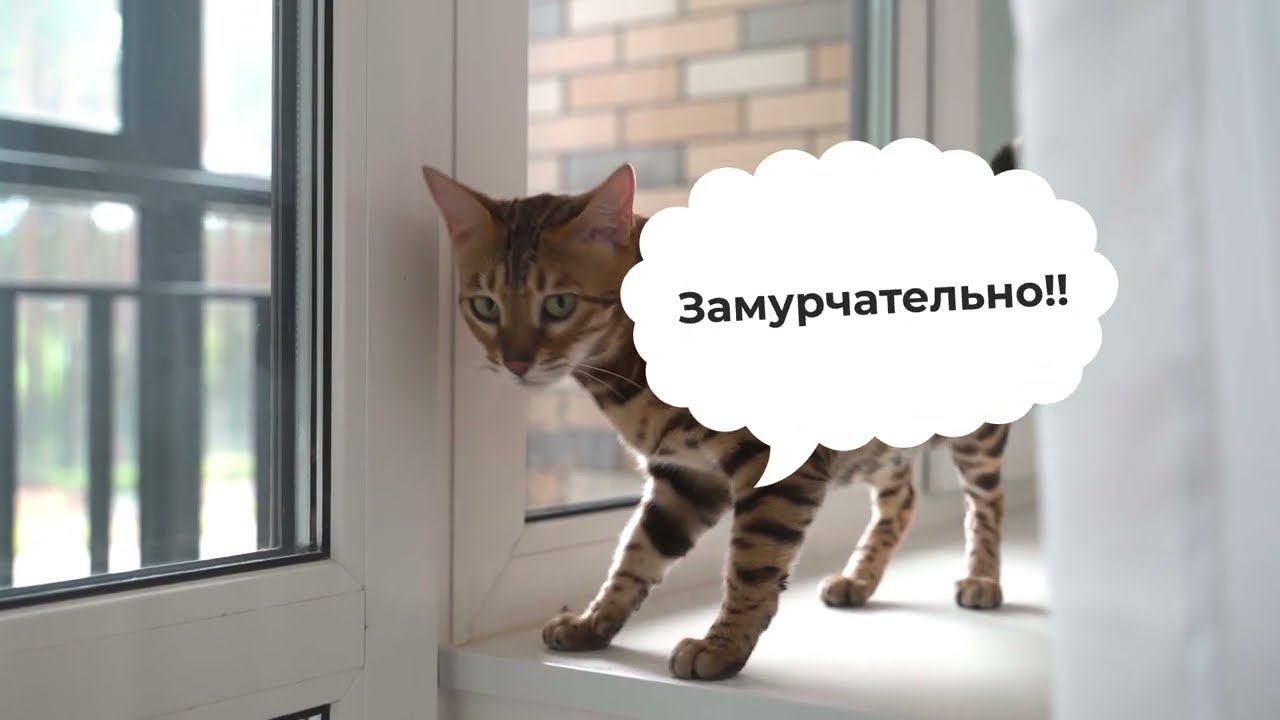 Замурчательные эксперты рекомендуют ЖД «ЖИЗНЬ»