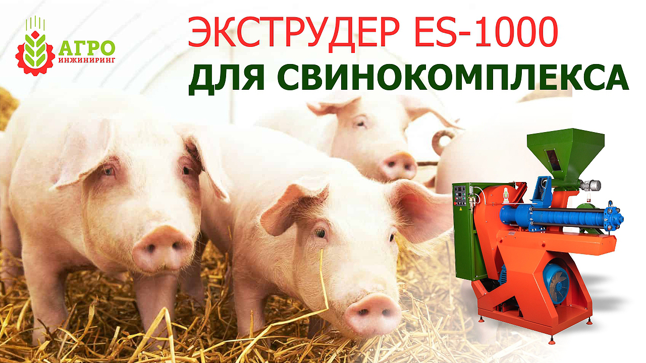 Установка экструдера ES - 1000 в животноводческом хозяйстве, село Антипинское. Отзыв и комментарии.