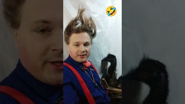 Гюлчитай открой ....?