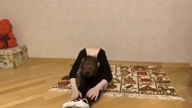 029_05 Я тренируюсь дома!