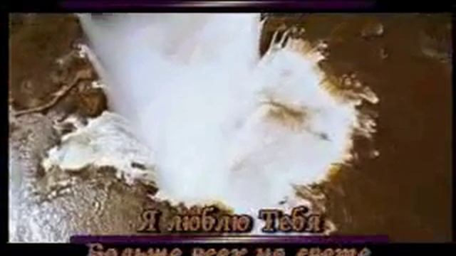 11 Как олень ищет путь.mp4