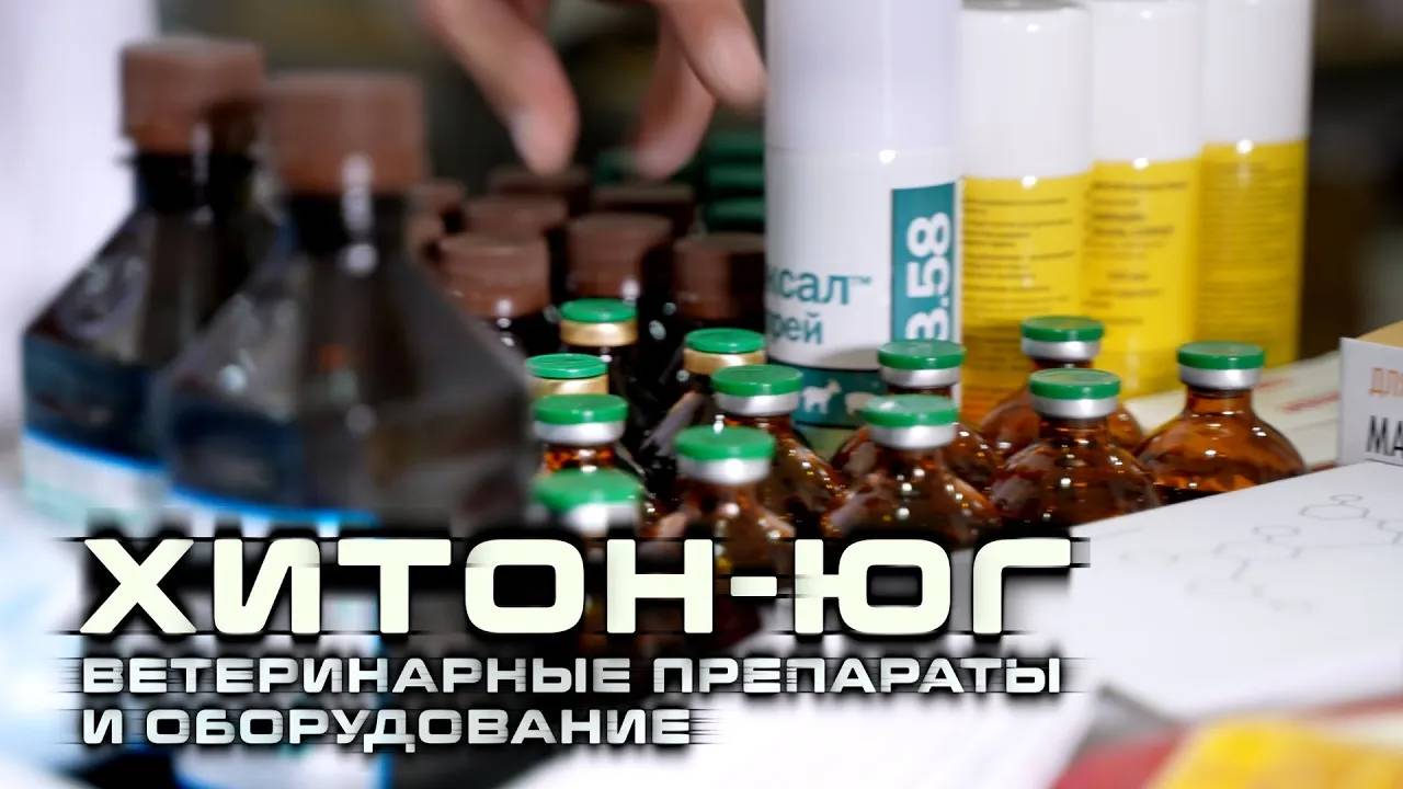 Хитон Юг - история создания