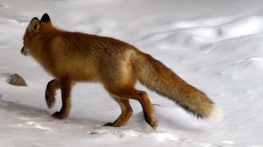 Фотоотчёт "Красноярские Столбы"