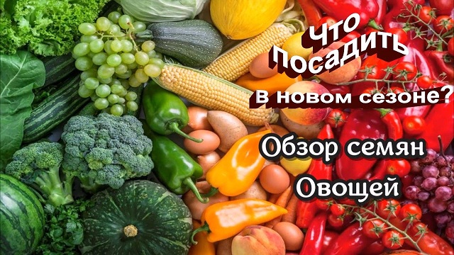 Делюсь, рекомендую, семена овощей, урожаем будете обеспечены на все 100% Часть 2