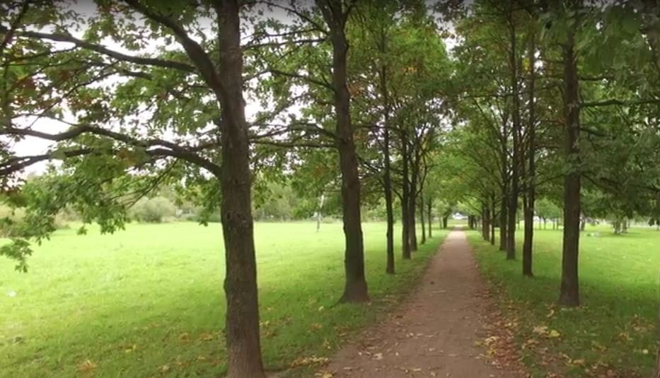 Михаил Семёнович Карев и его наследие Металлострою. К 92-летию посёлка. 5 сентября 2023 г.