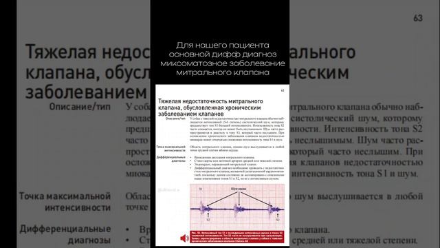 Аускультация собаки | Шум в сердце у собаки