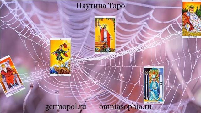 Паутина Таро