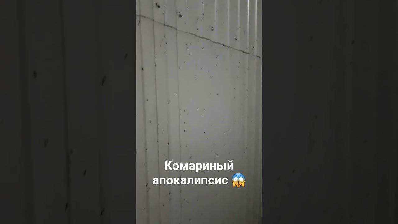 Комары  Краснодарский край