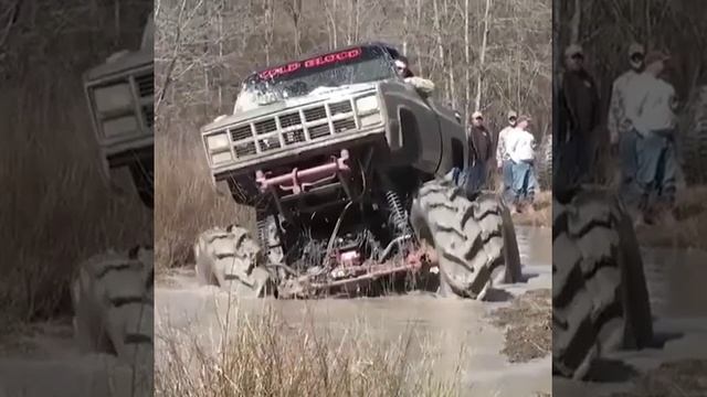 Приколы вокруг нас 50